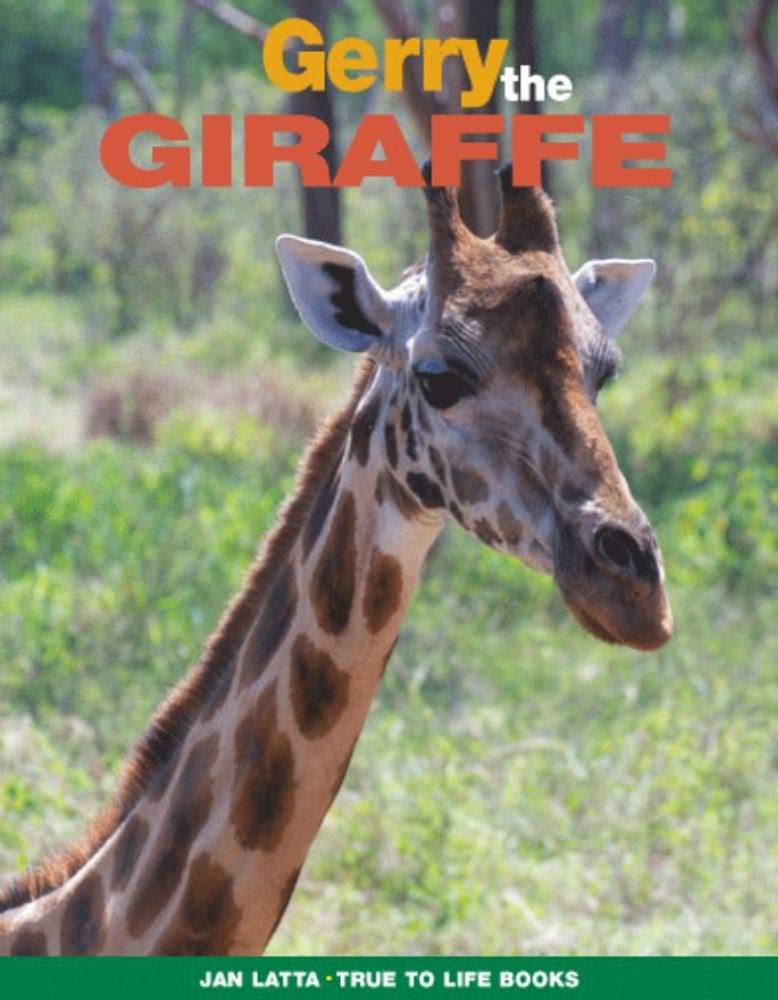 Gerry the Giraffe | Montessori Australia