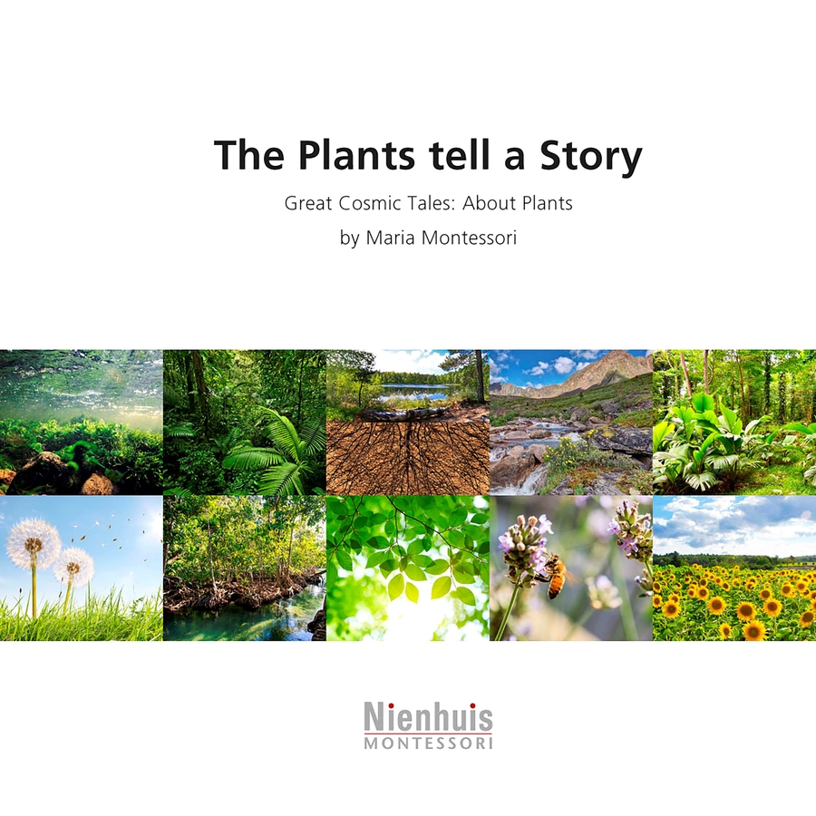 The Plants Tell A Story | Montessori Australia