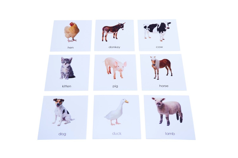 Nomenclature Cards - Farm Animals | Montessori Australia