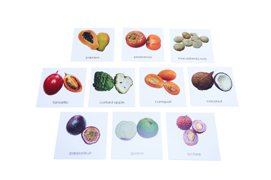 Nomenclature Cards - Tropical Fruit and Nuts | Montessori Australia